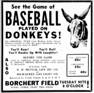 I shall watch them play baseball on donkeys – BASEBALL GENRES